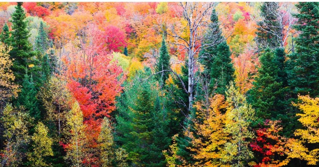 Broken Bow Lake Cabin Rentals | » Embrace the Magic of Fall in Broken ...